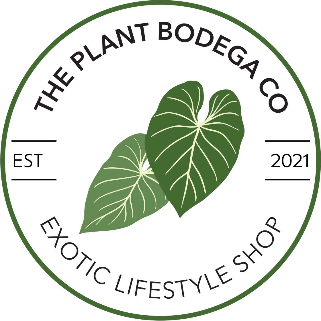 Shop Plants | The Plant Bodega Co AZ PHX